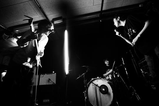 Still House Plants - 3/27/23 - Hallwalls