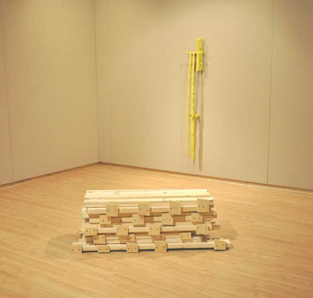 Tim Roby & Shelby Baron - Opening Reception and Artist's Talks - 1/14 ...